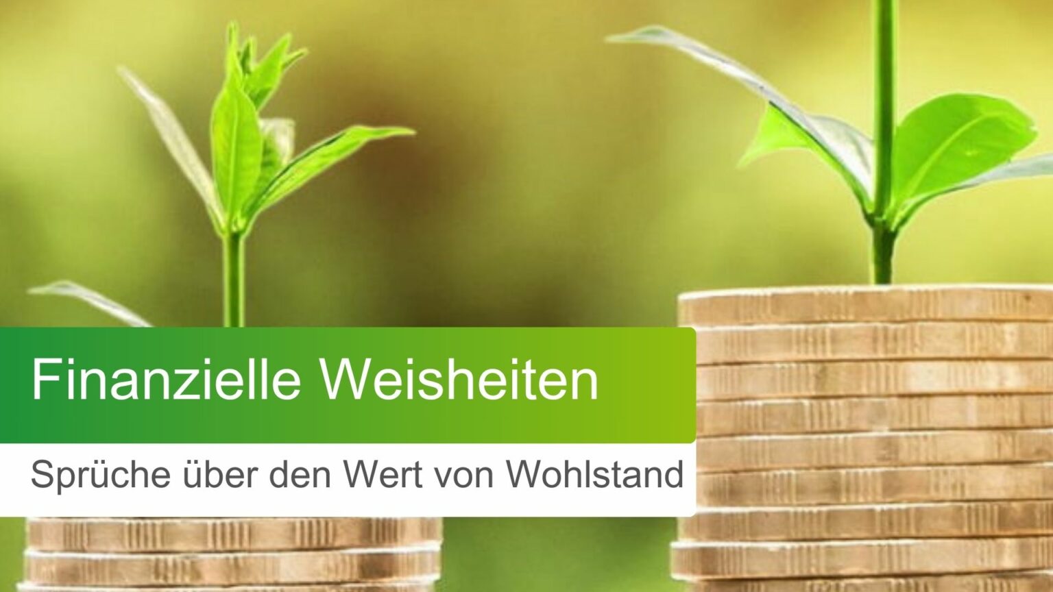 Zen Sprüche: Zitate über Weisheit, Spiritualität & Loslassen