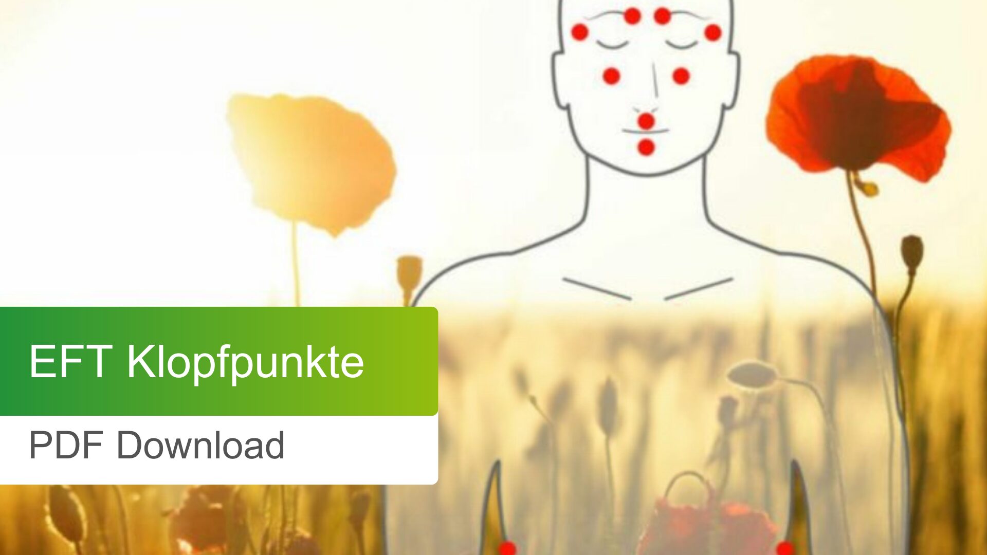 EFT Klopfpunkte (PDF Download)