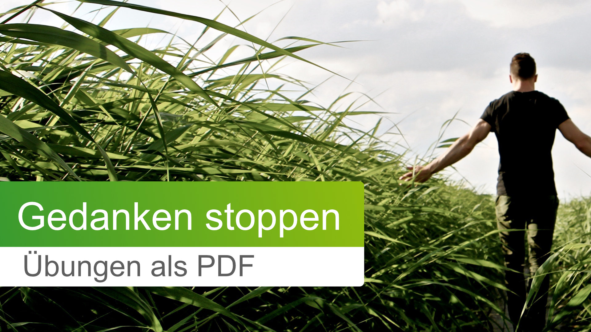 Gedankenstopp-Übungen: Ein PDF-Leitfaden zur Selbsthilfe