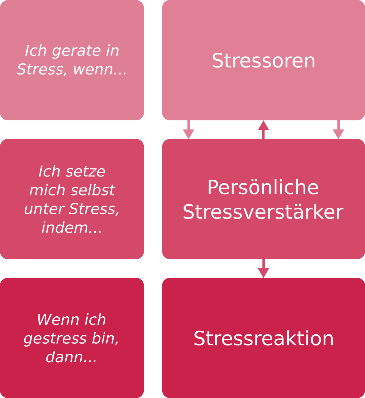 Stressampel nach Kaluza: So entsteht Stress (+Gratis PDF) | CoachingLovers