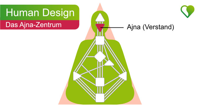 Die 9 Zentren im Human Design System
